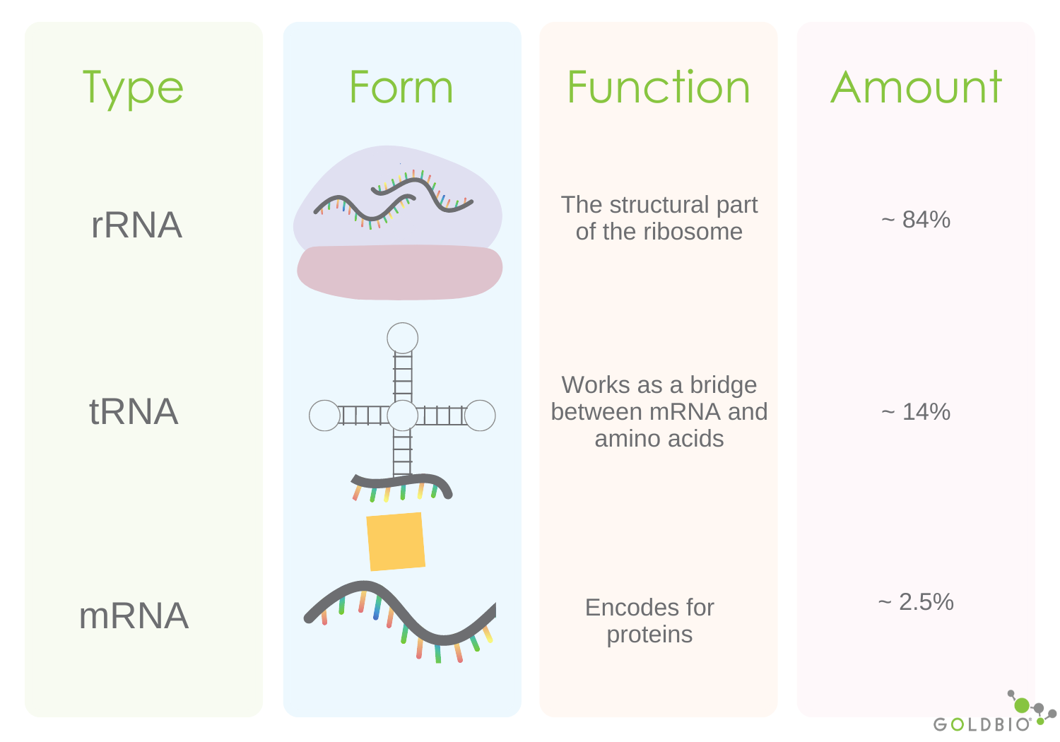 How To QC Your RNA Using Gel Electrophoresis GoldBio